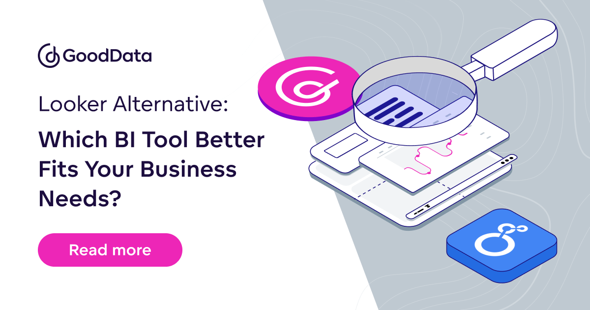 Looker Alternative: Which BI Tool Better Fits Your Business Needs in ...